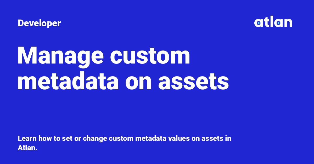 Manage Custom Metadata On Assets Developer 0090